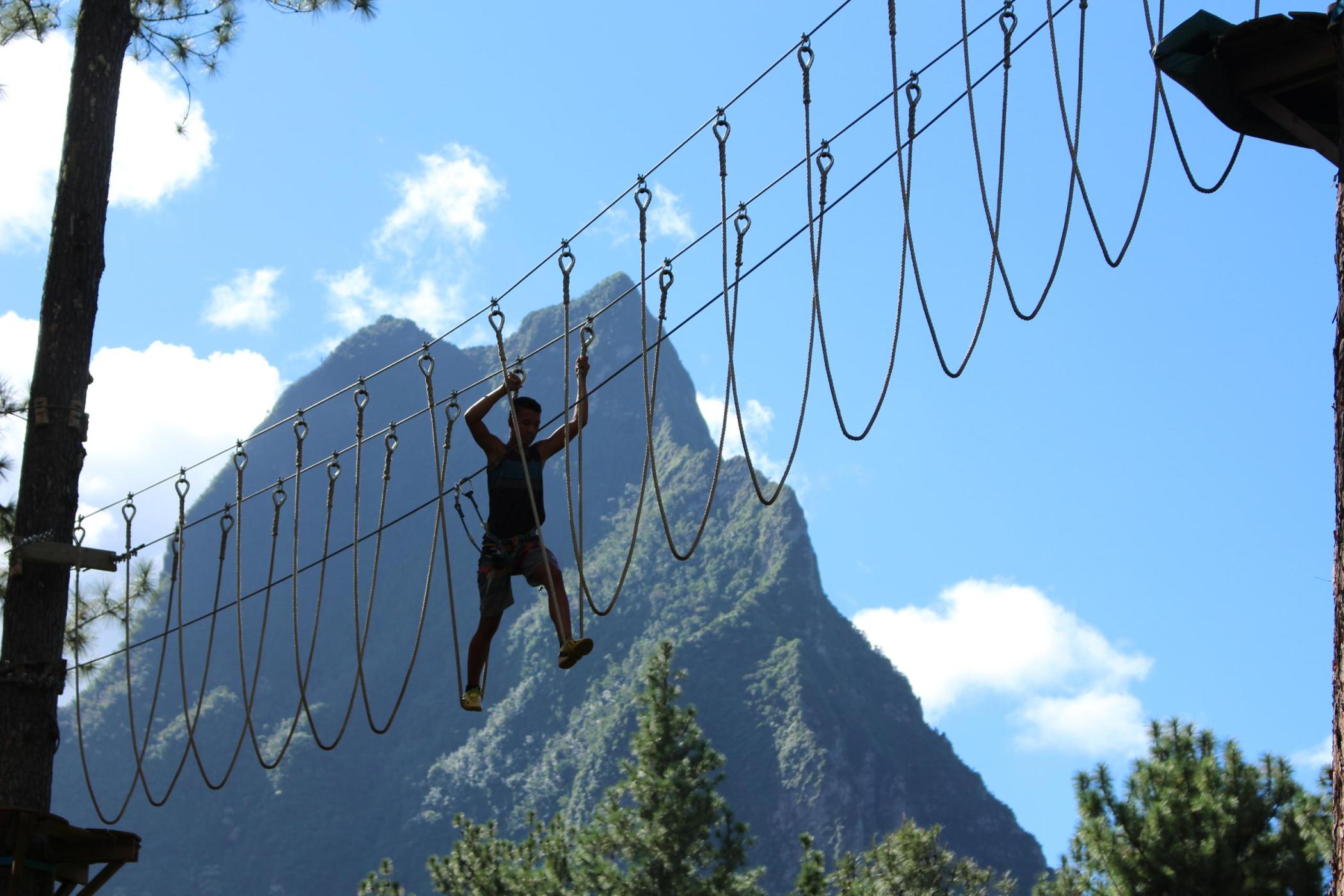 Zip Line, Rope Courses And Tree Top | Tahiti Paradise Tour
